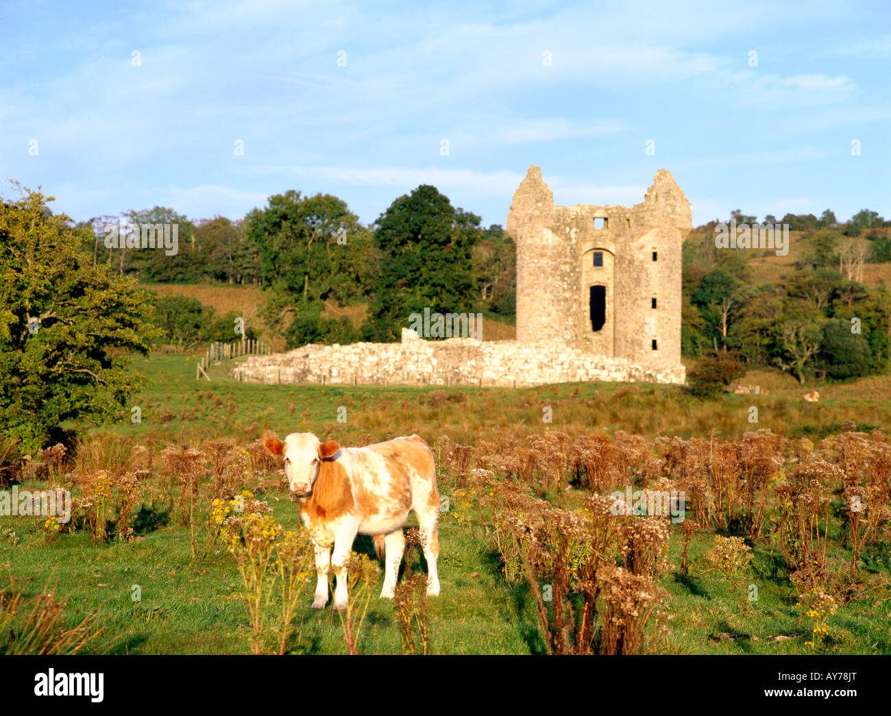 Ulster Photography Our Ulster Plantation Castles