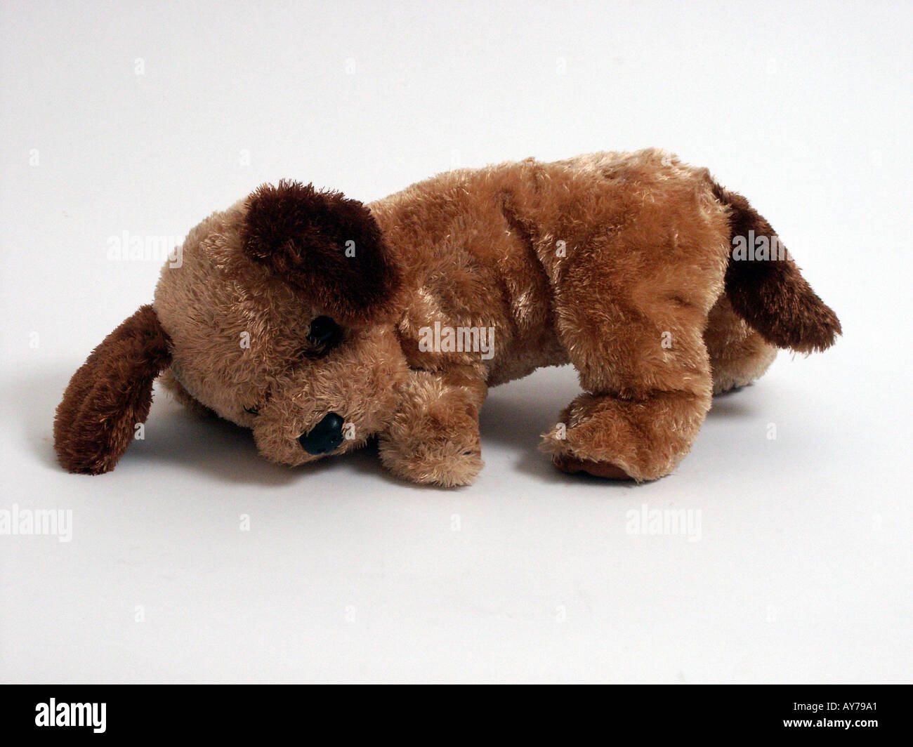 Puppy Dog Soft Toy Stock Photo - Alamy