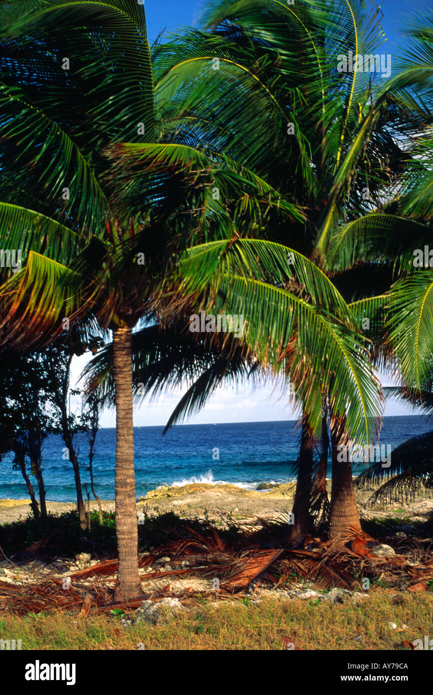 West plam beach hi-res stock photography and images - Alamy