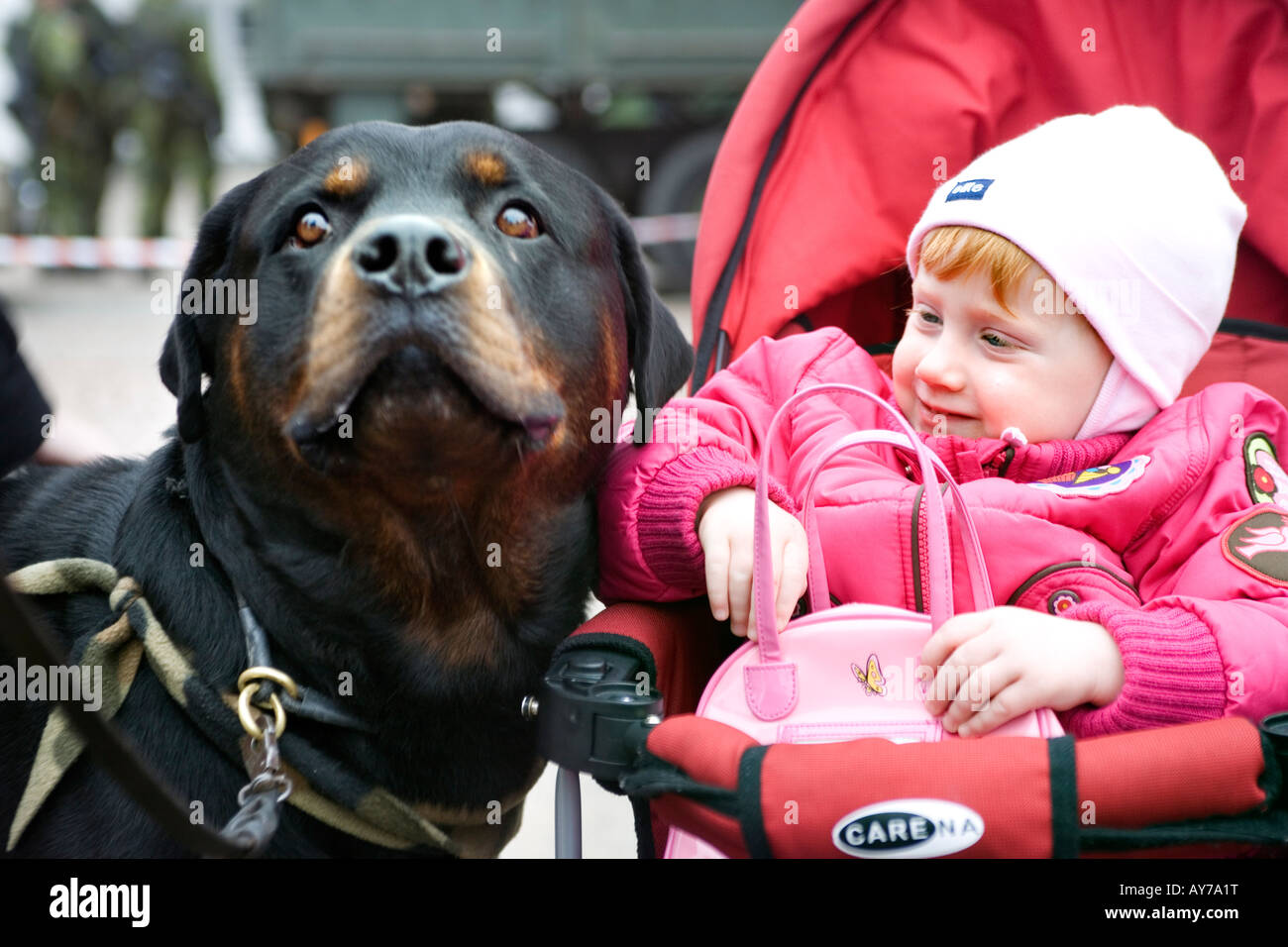 The beginning of a friendship A baby girl looks curiously and ...