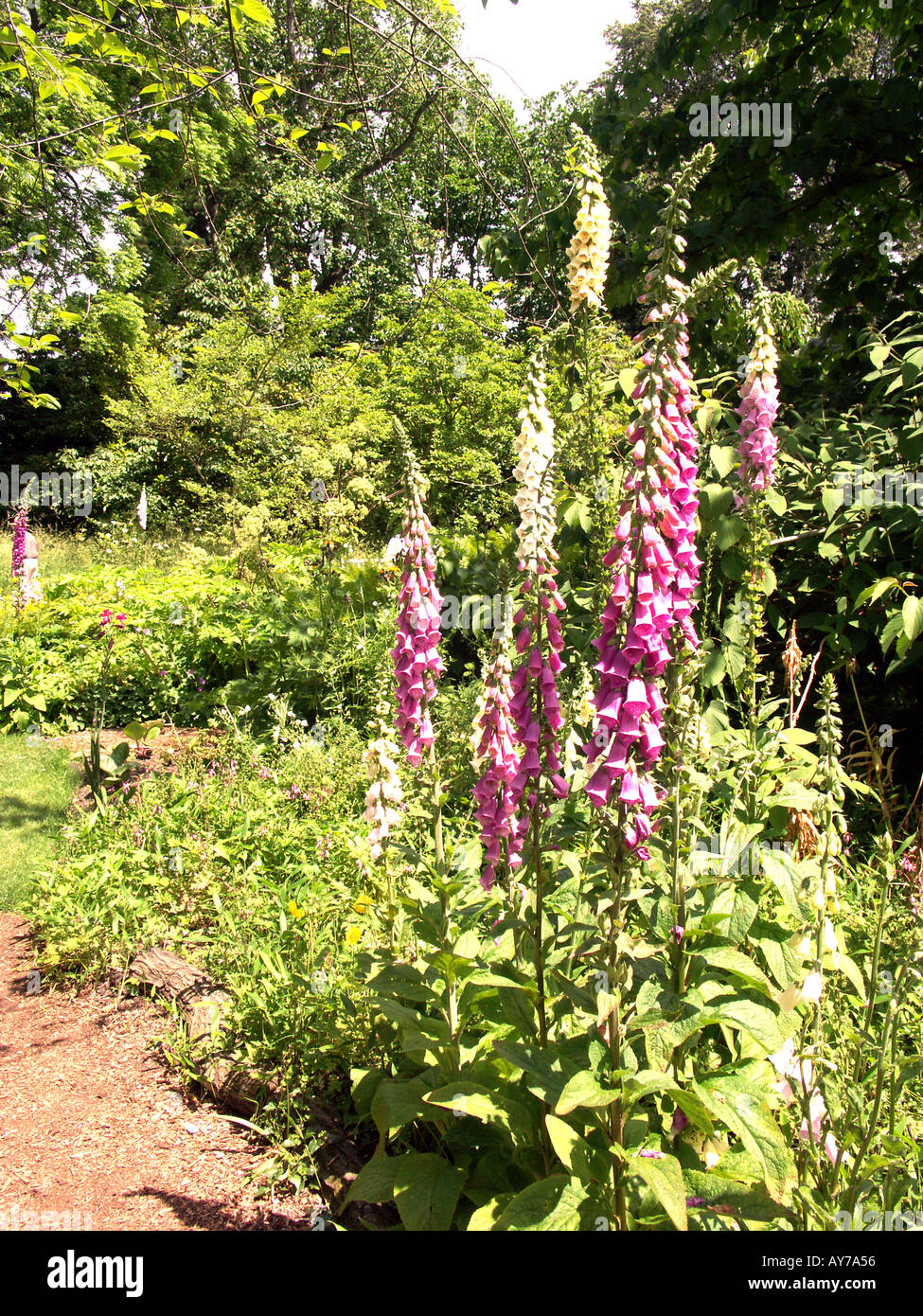 Cambridge University Botanic Gardens Stock Photo - Alamy