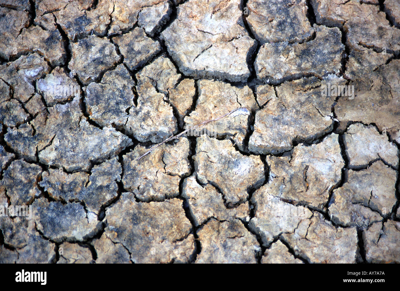 Sun dried mud hi-res stock photography and images - Alamy