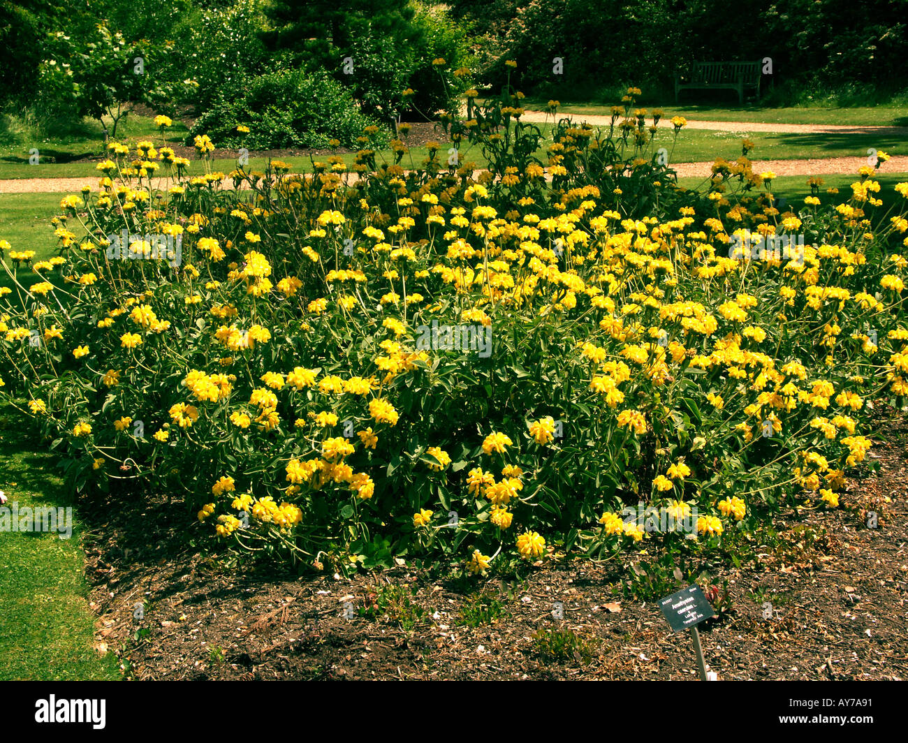 Cambridge University Botanic Gardens Stock Photo - Alamy