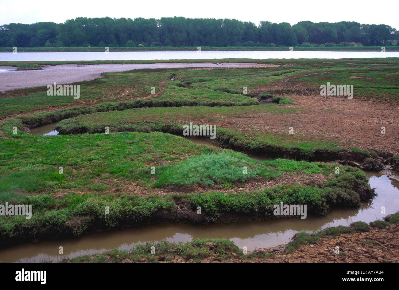 Drainage channels Butley creek Suffolk England Stock Photo - Alamy