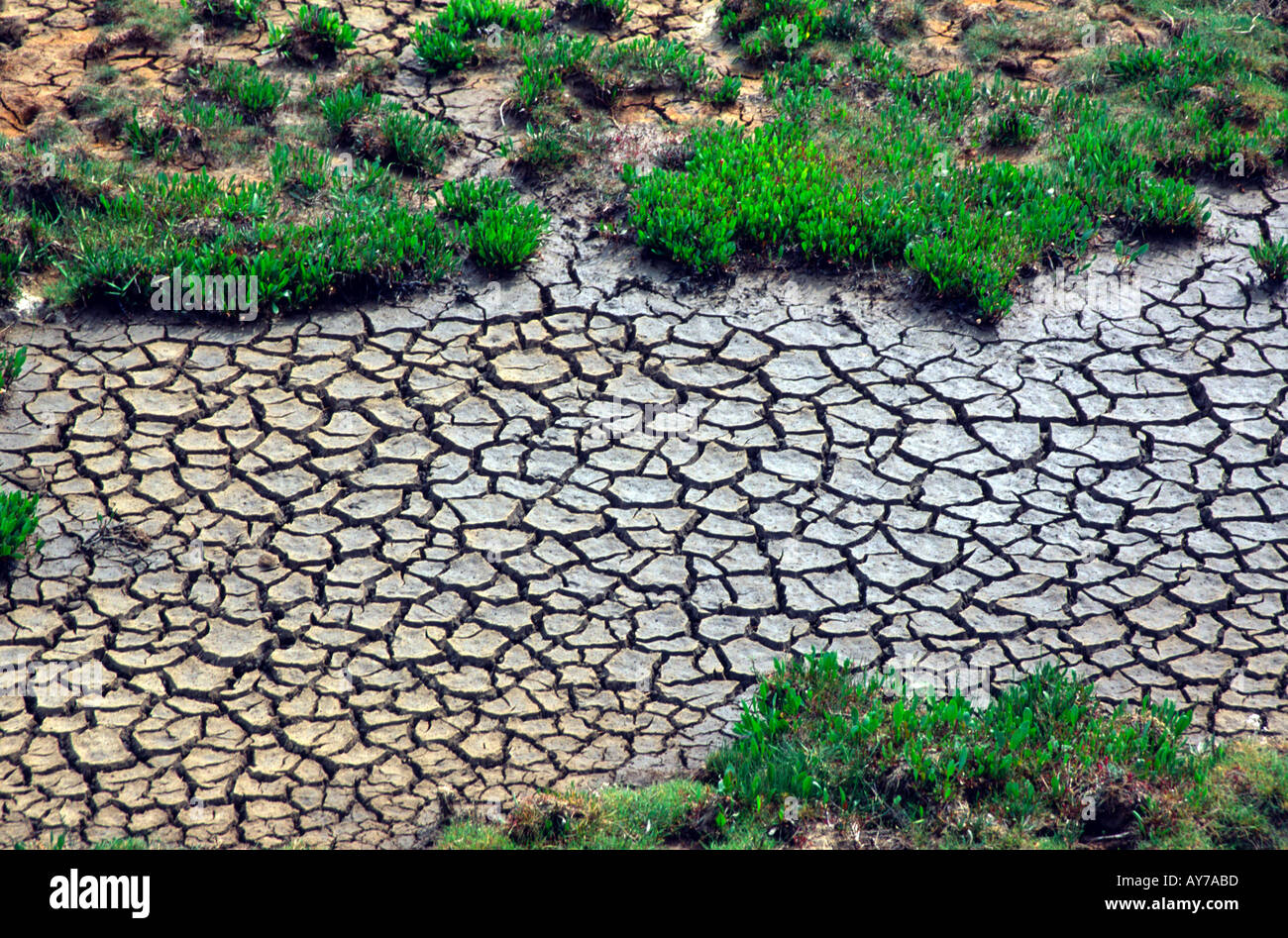 Sun dried mud hi-res stock photography and images - Alamy