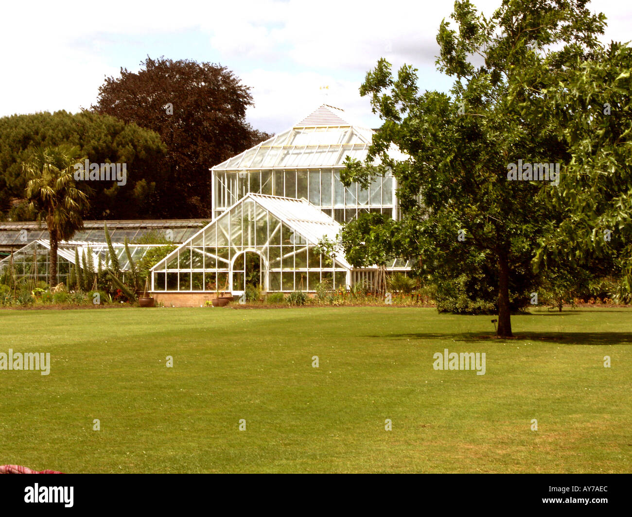Cambridge University Botanic Gardens Greenhouse Stock Photo - Alamy