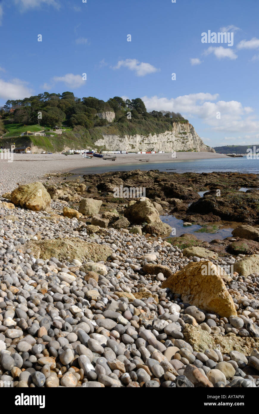 Beer beach devon hi-res stock photography and images - Alamy