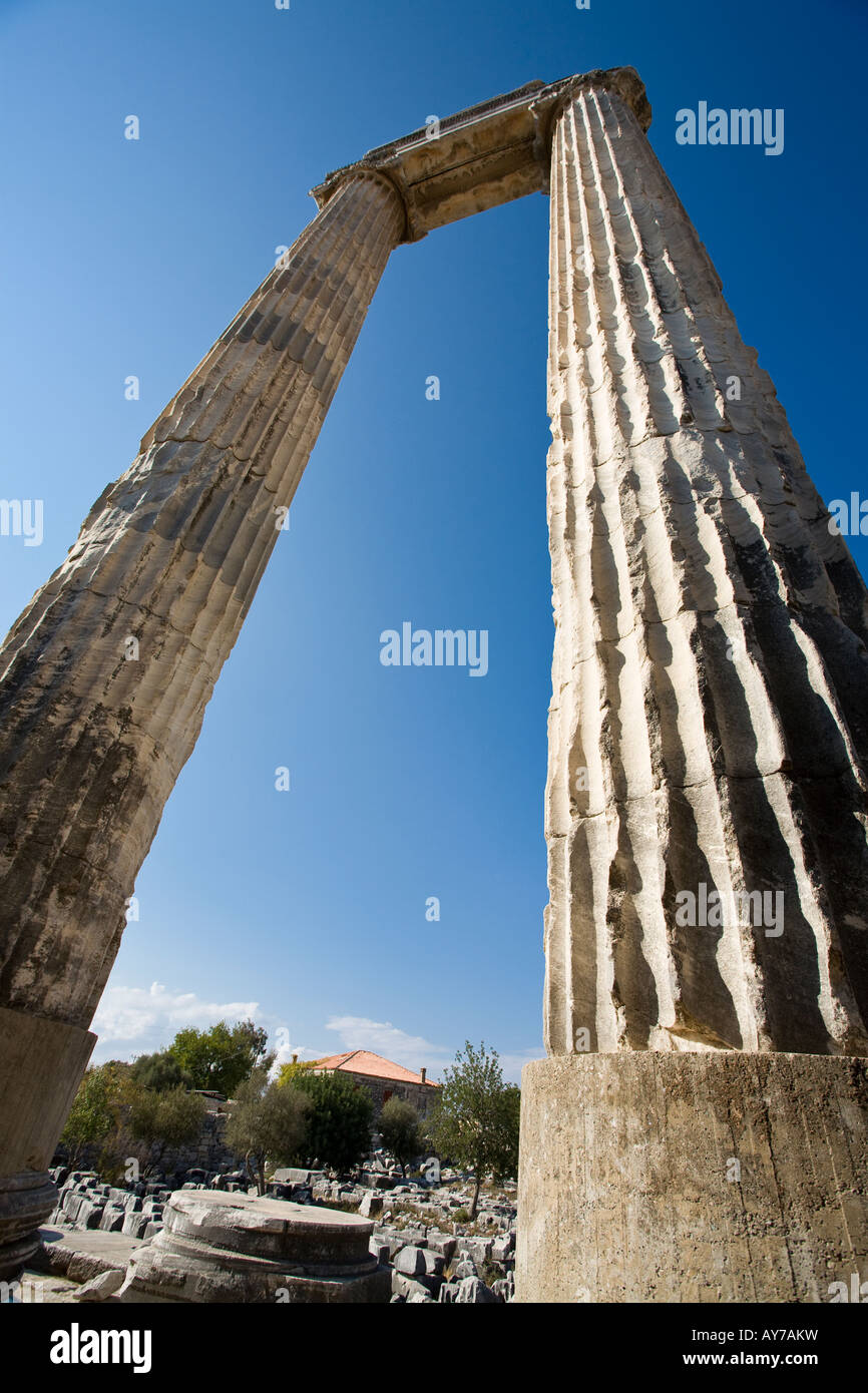 Massive Columns with Lintel vertical A pair of huge columns of temple ...