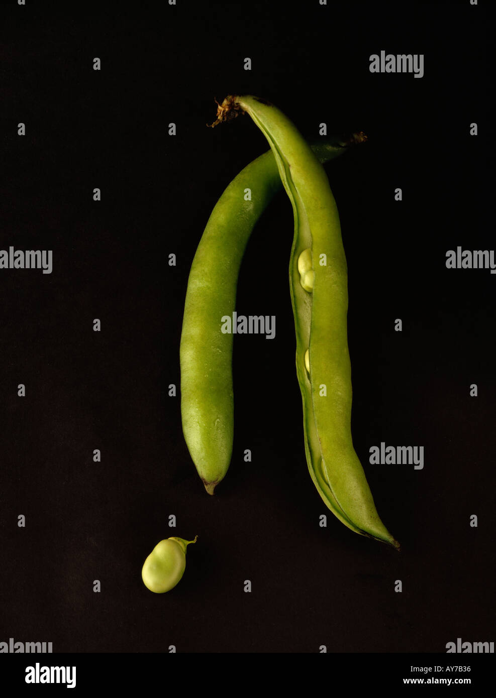 VEGETABLES Broad beans Stock Photo - Alamy