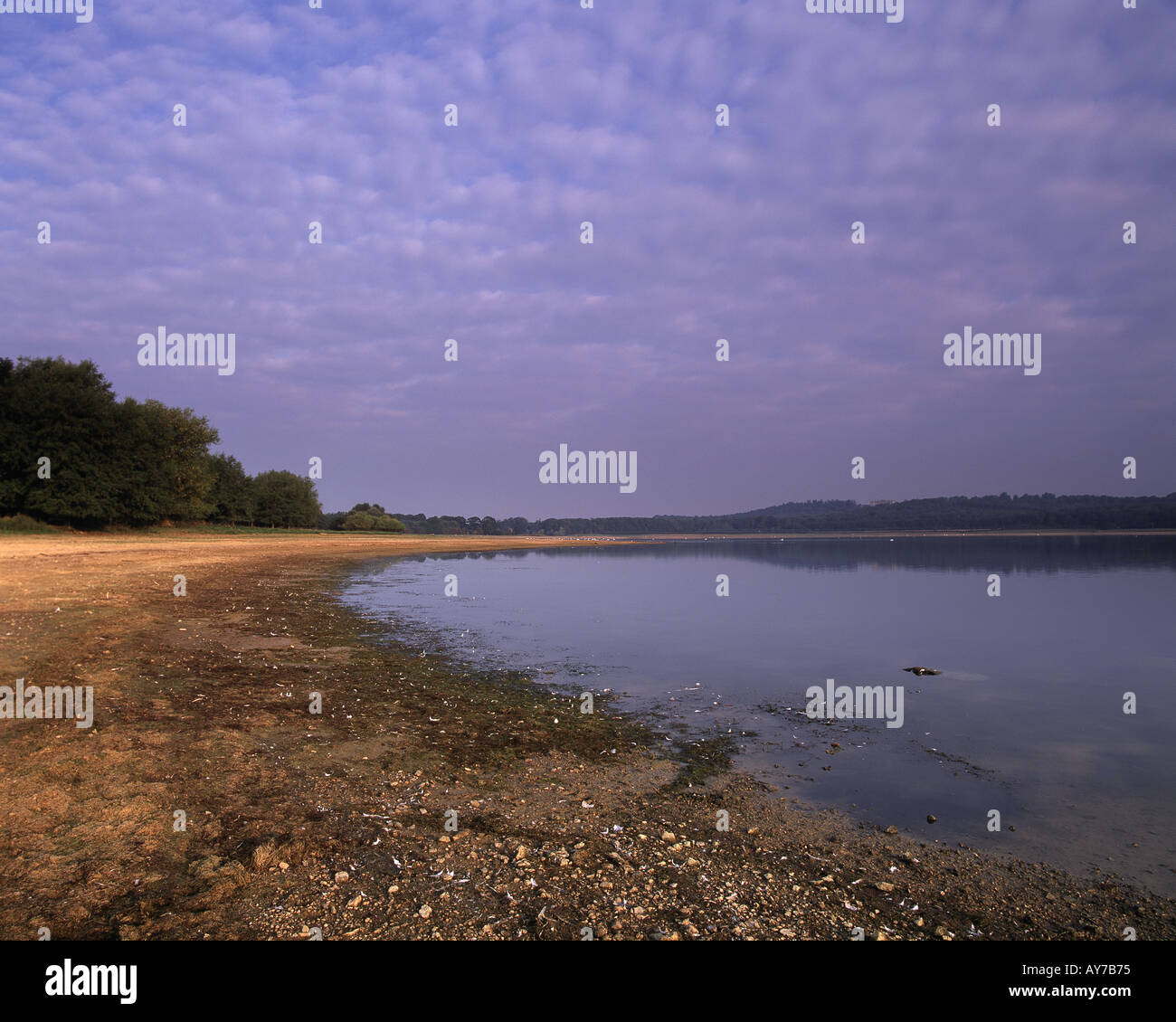 A low view of Rutland Water shoreline under an interesting sky with a ...