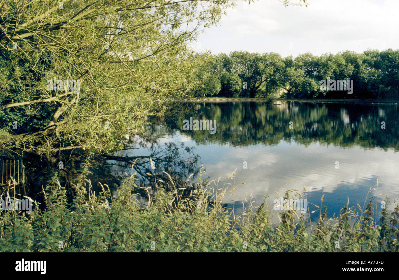 Lake Hampstead Heath London Stock Photo - Alamy