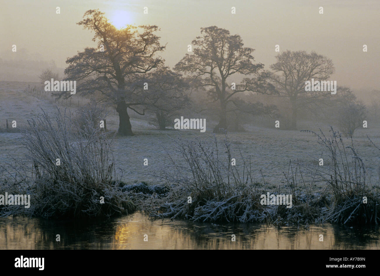 Frosty winter morning Stock Photo - Alamy