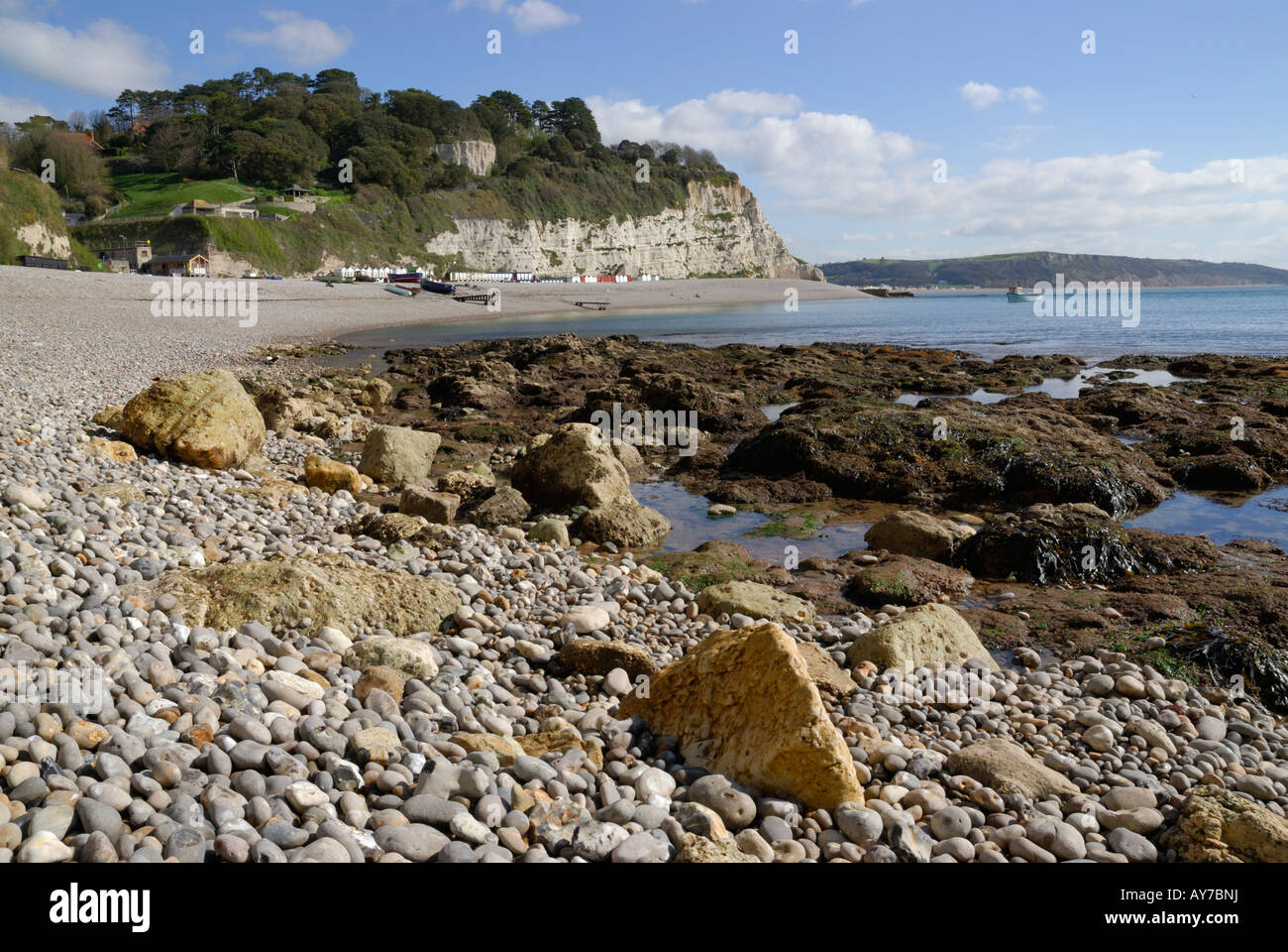 Beer beach devon hi-res stock photography and images - Alamy