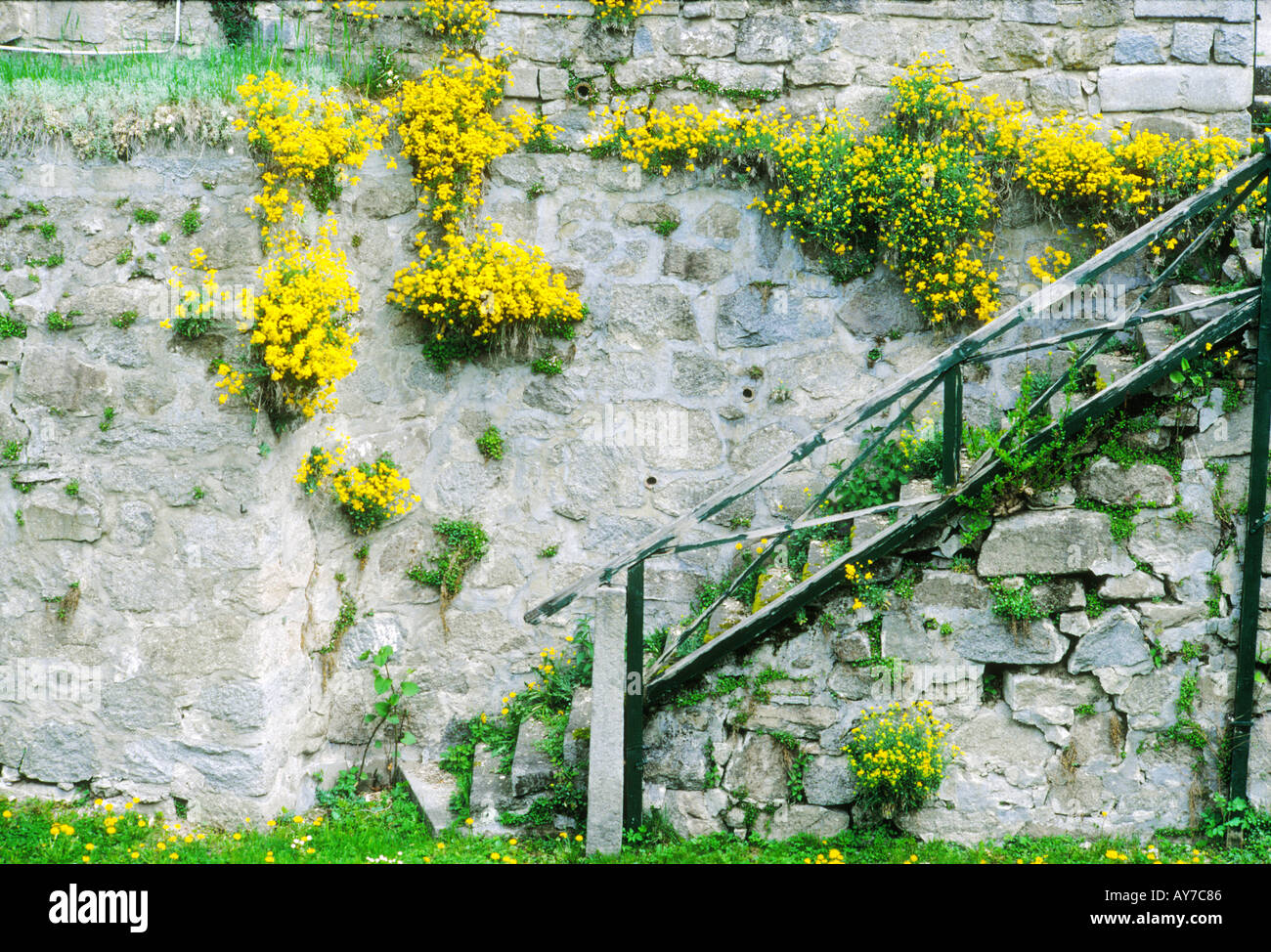 Leddar hi-res stock photography and images - Alamy