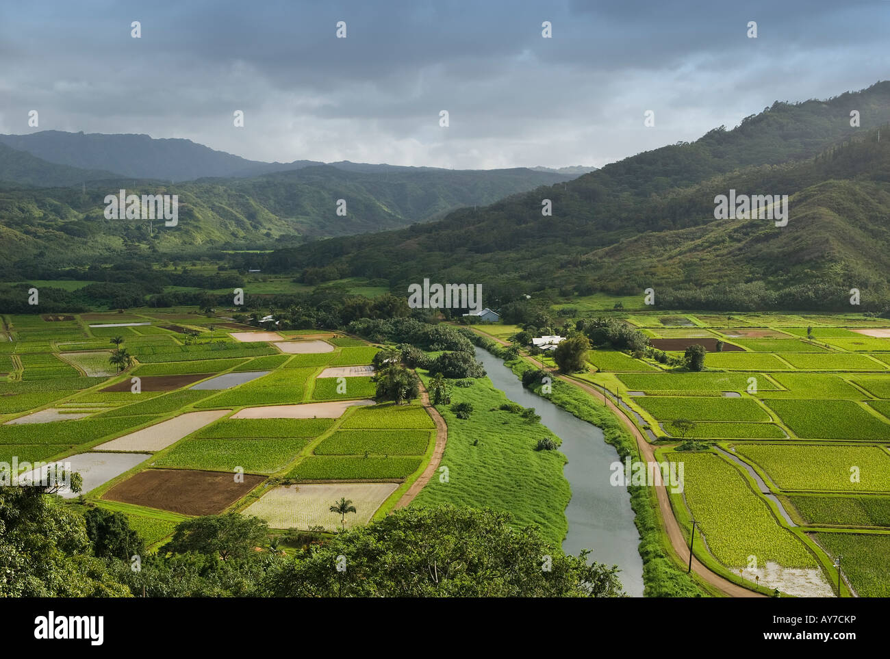Hanalei River Valley on Kauai, Hawaii, USA Stock Photo - Alamy
