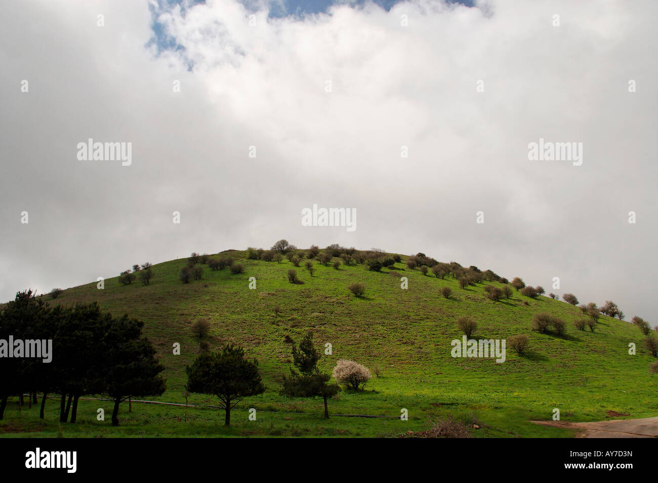 The Golan Heights Mount Baron Stock Photo - Alamy