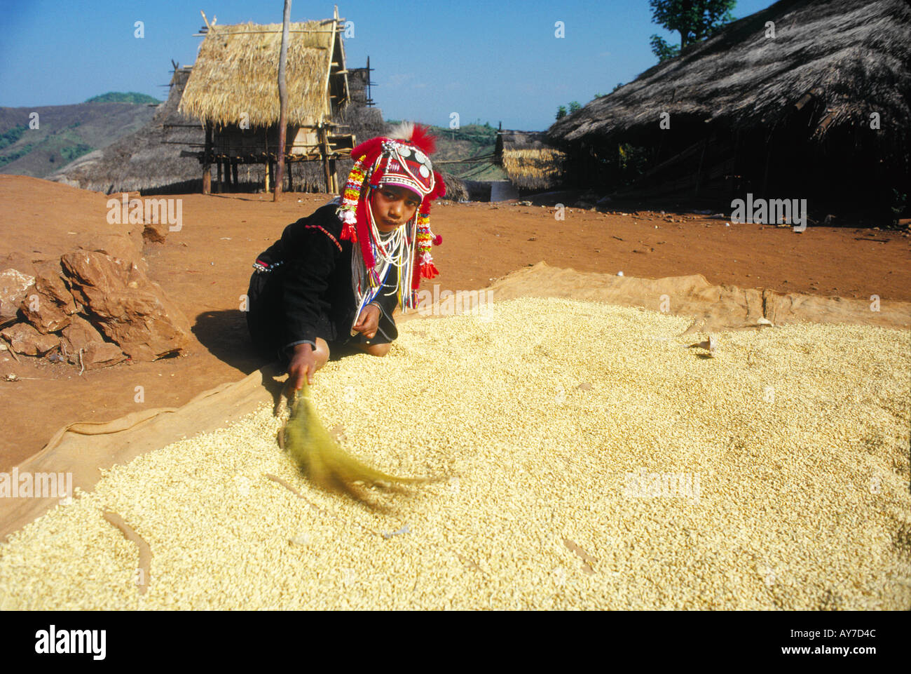 Drying rice moon hi-res stock photography and images - Alamy