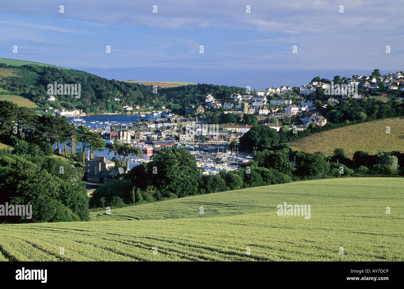 Salcombe from Snapes Point, Devon, England, UK Stock Photo - Alamy