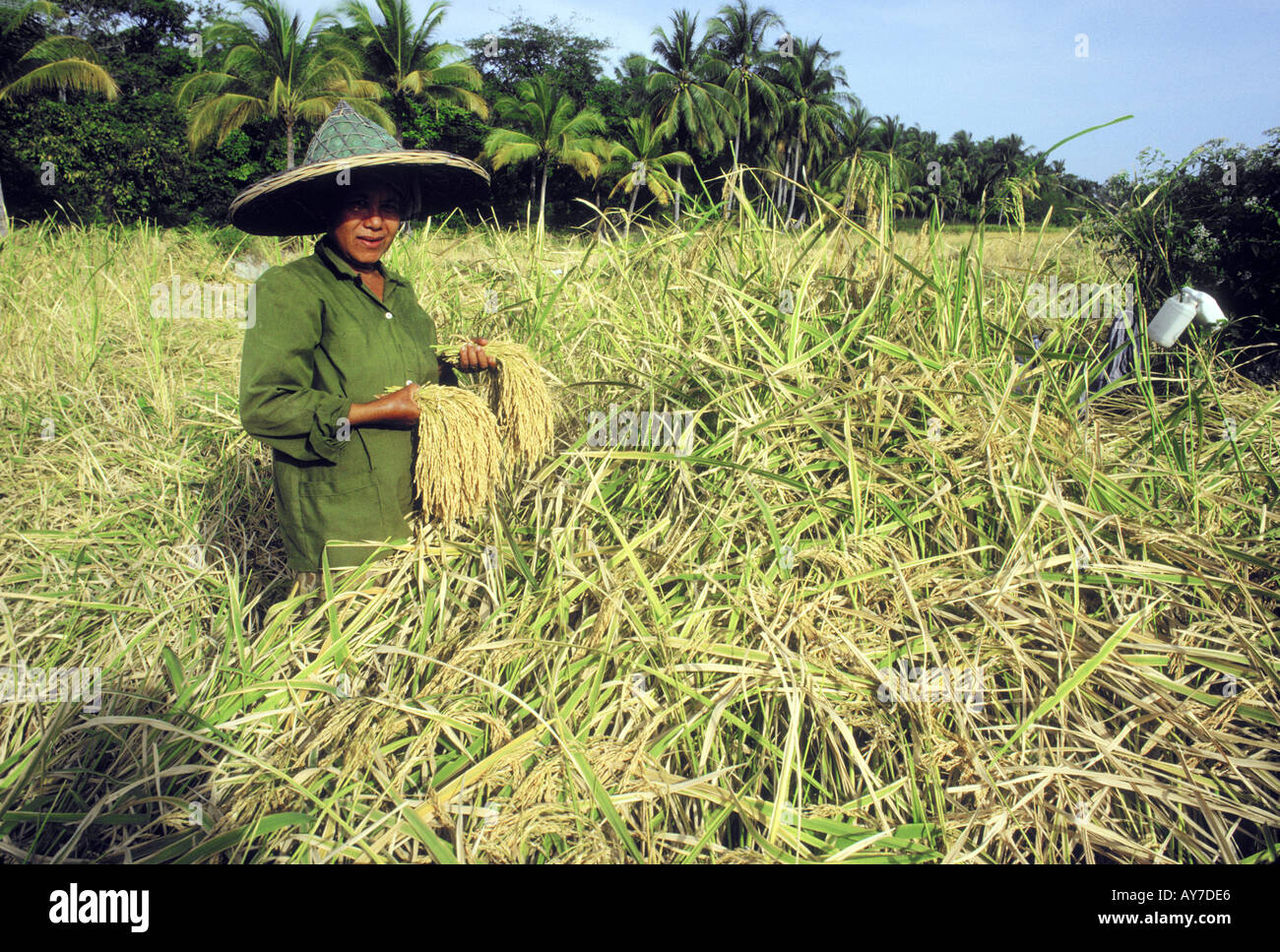 Globalisation concept poverty hi-res stock photography and images - Alamy