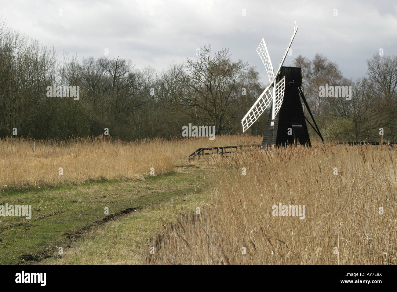 Wicken fen norfolk hi-res stock photography and images - Alamy