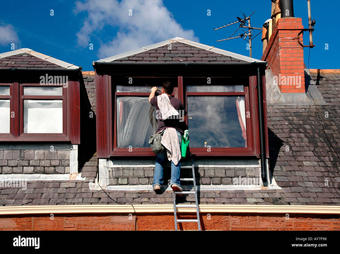 A window cleaner on a ladder cleans the top windows of a 2 storied ...