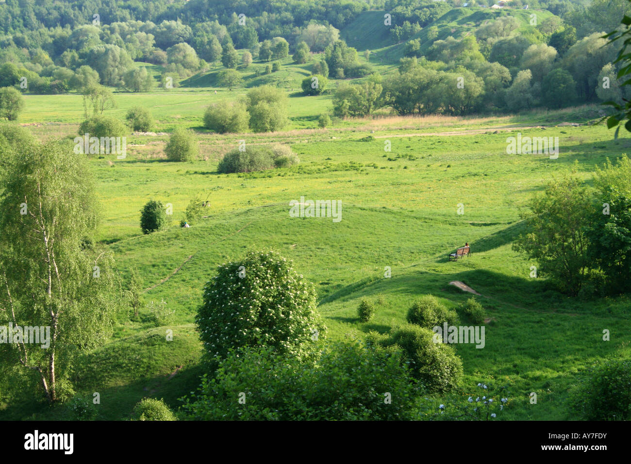 Women seating on the bench and looking on the green landscape Stock ...