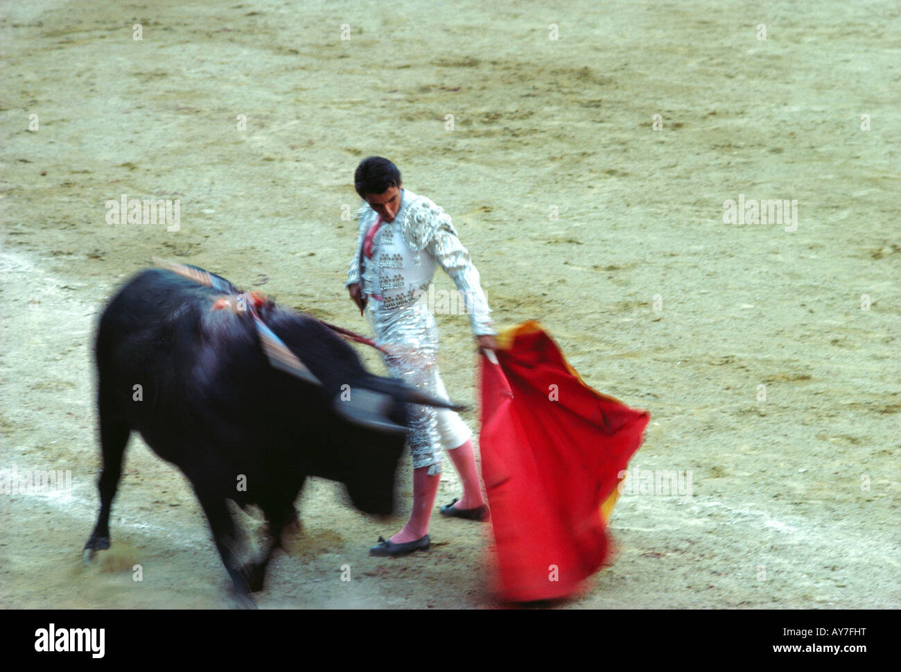 Bull Fighter in action Stock Photo - Alamy