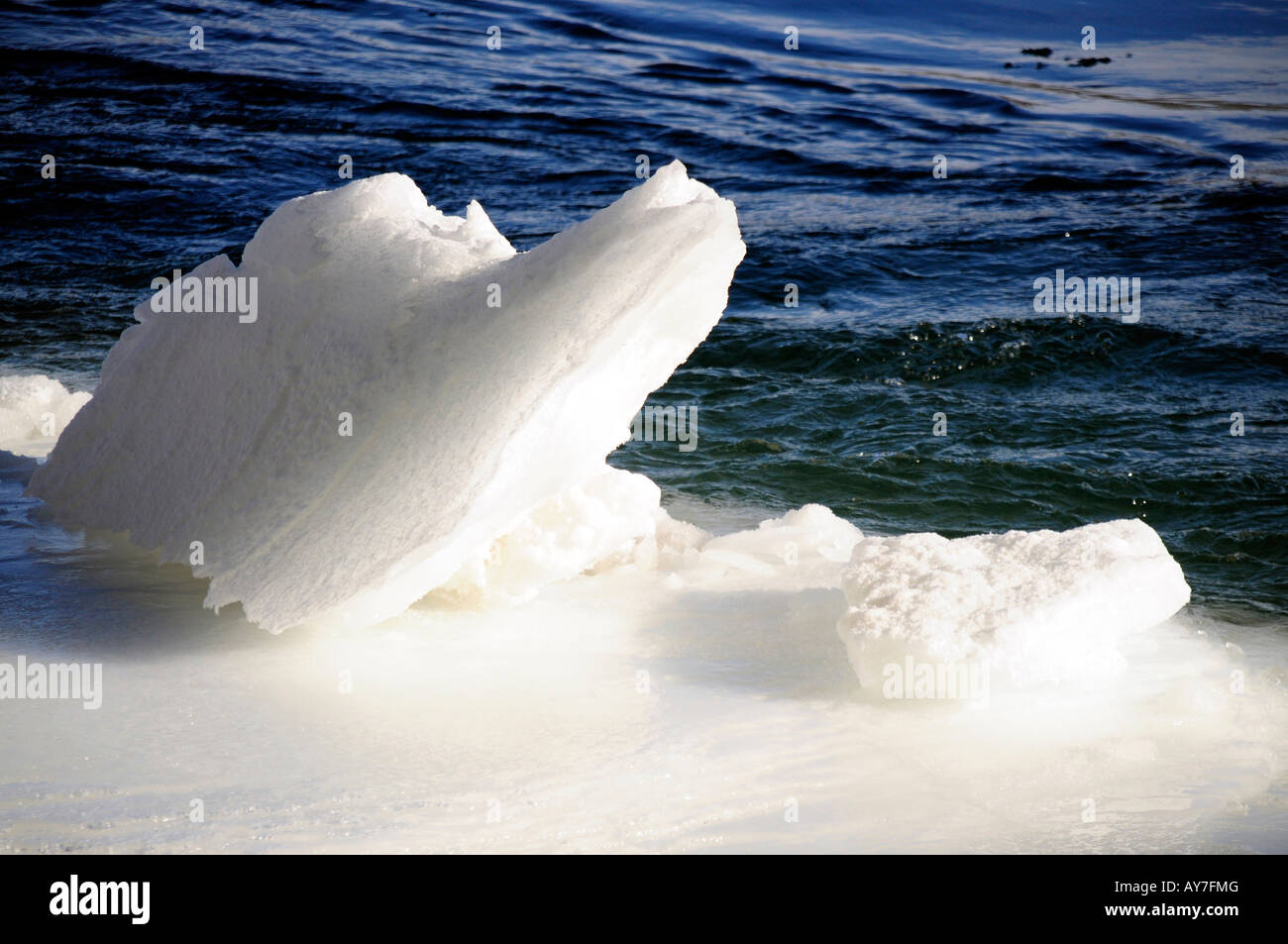 Ice, drinking by the river, frozen in place, but not time. Cruel sun ...