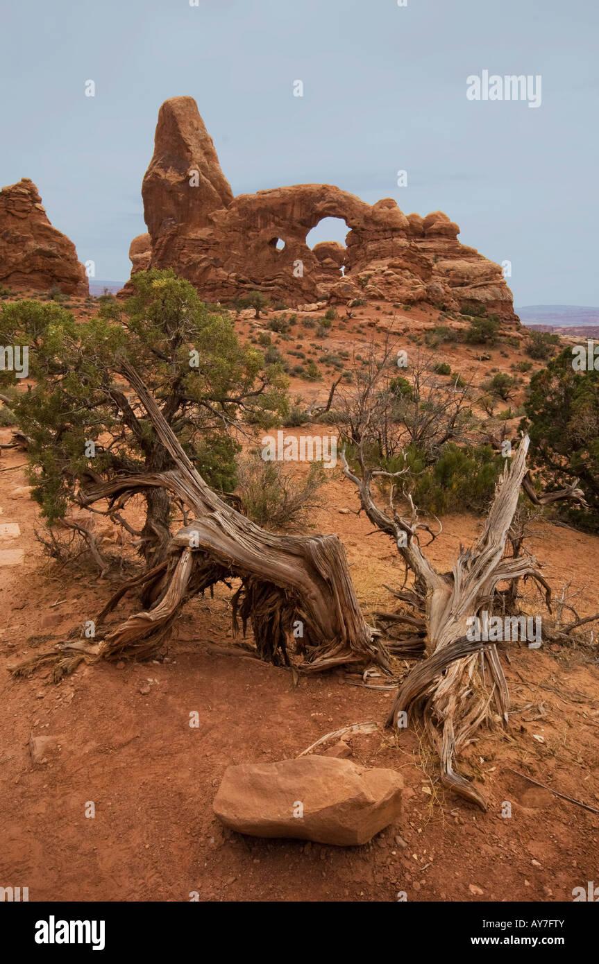 Turret Arch, The Windows Section, Arches National Park Stock Photo - Alamy