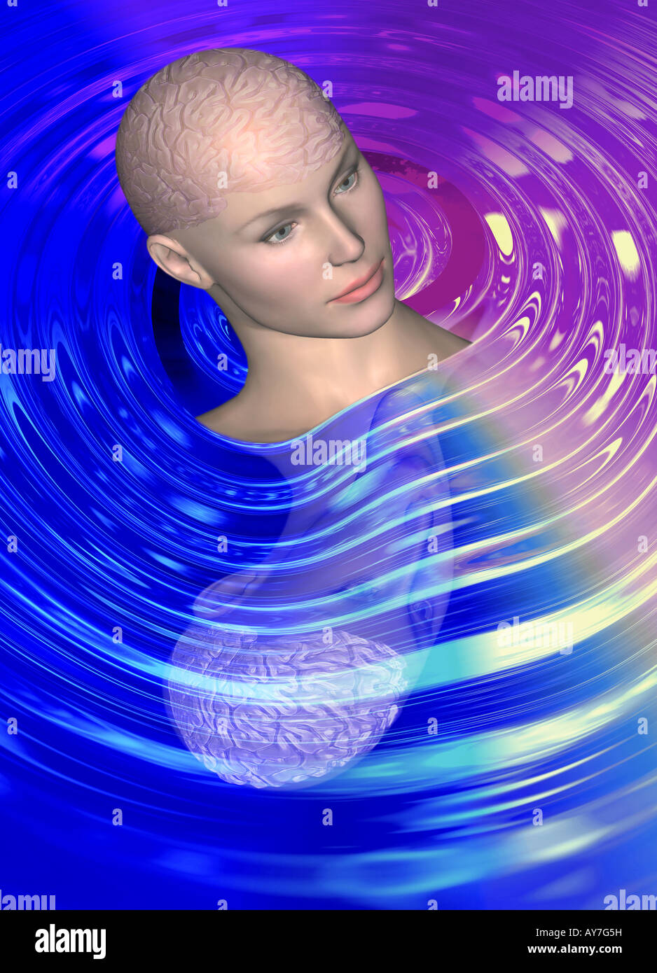 Filespec hi-res stock photography and images - Alamy