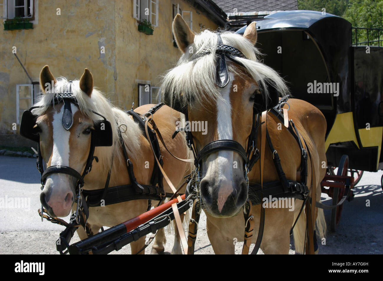 Old Coach And Horses High Resolution Stock Photography and Images - Alamy