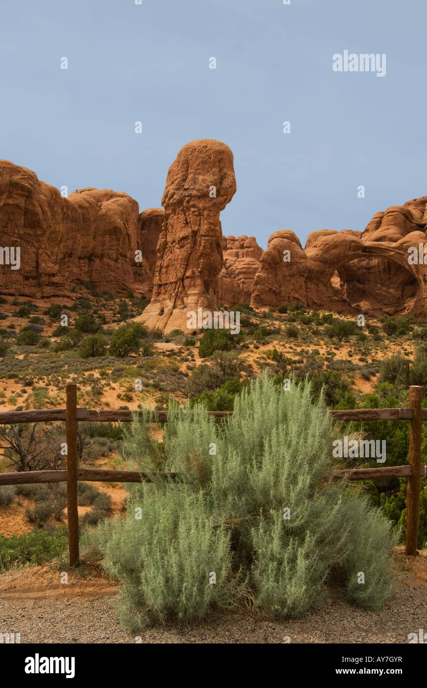 The Windows Section, Arches, National Park Stock Photo - Alamy
