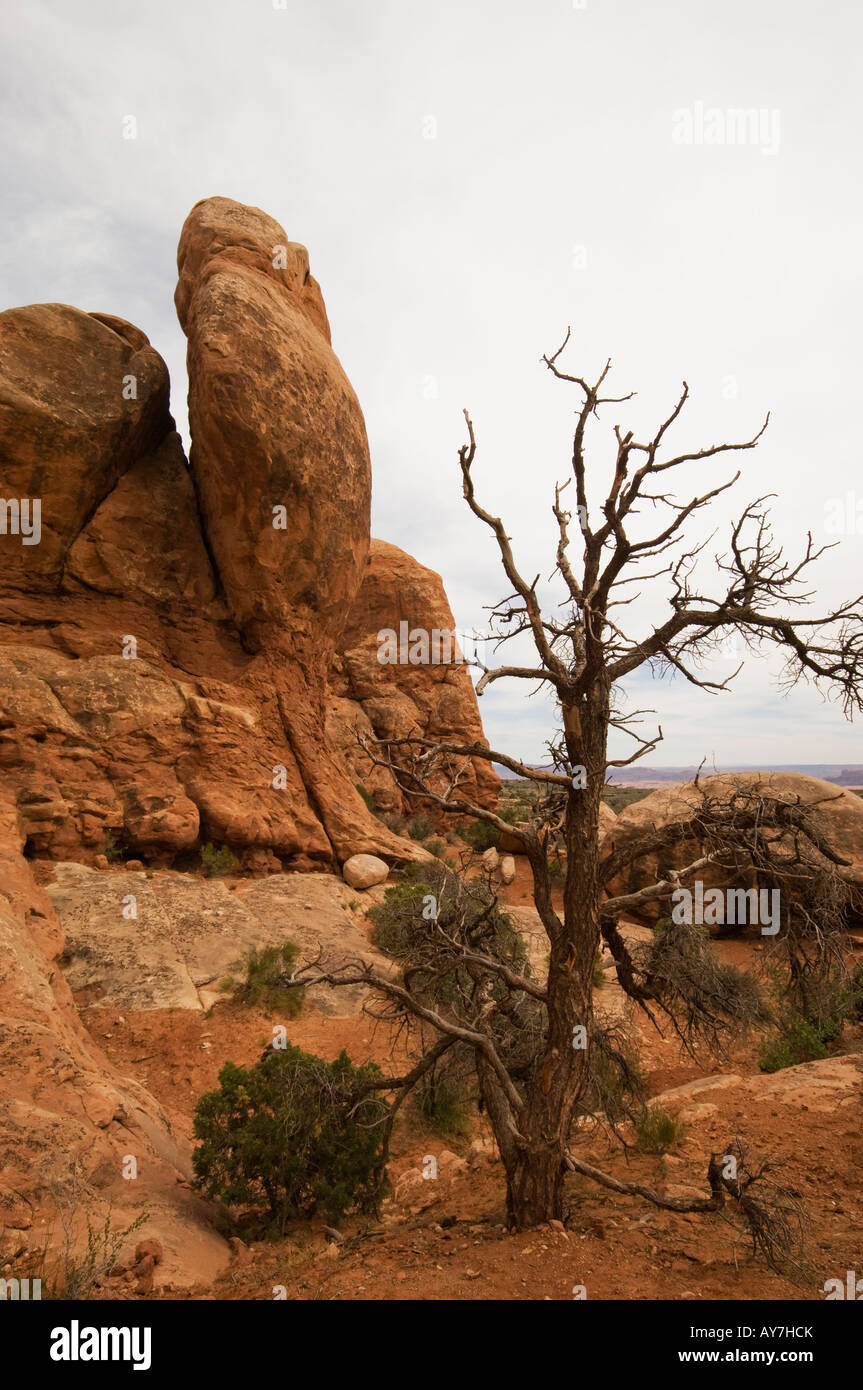 The Windows Section, Arches National Park Stock Photo - Alamy