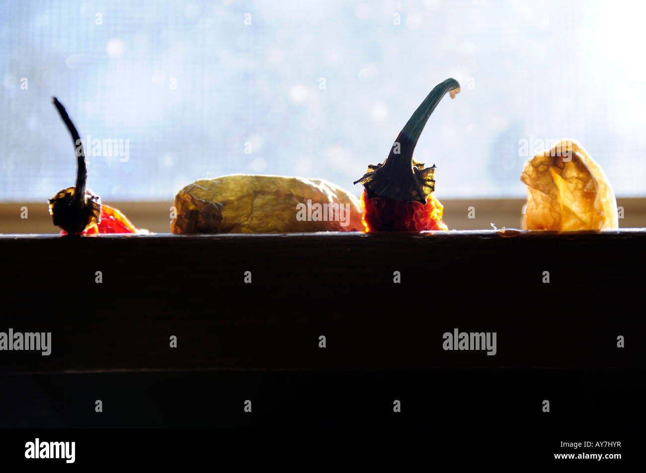 Hot peppers, drying in the sun on the kitchen window sill Stock Photo ...