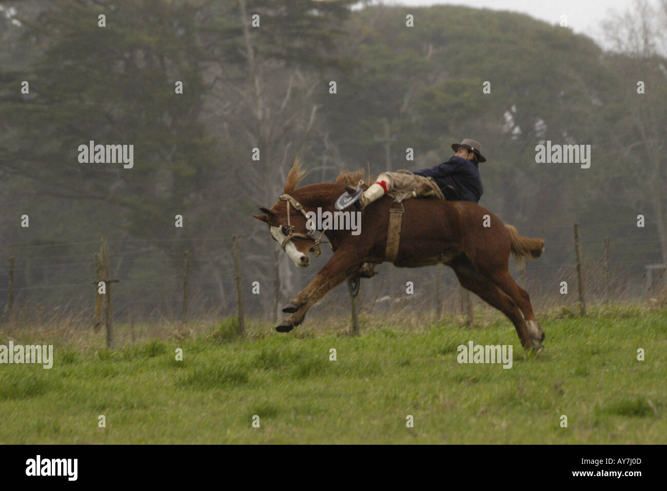 Argentine gaucho saddle hi-res stock photography and images - Alamy