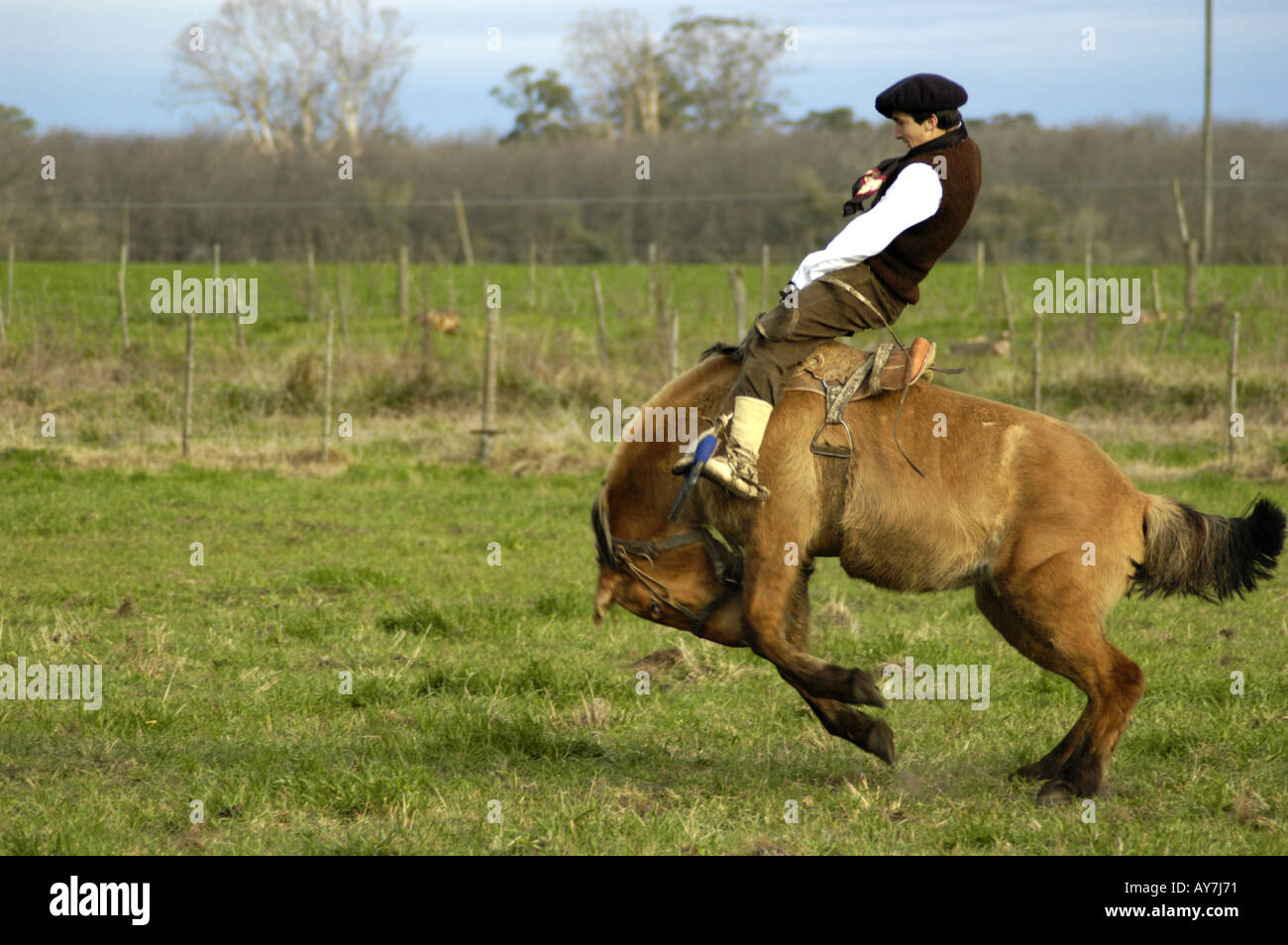 gaucho riding an horse Stock Photo - Alamy