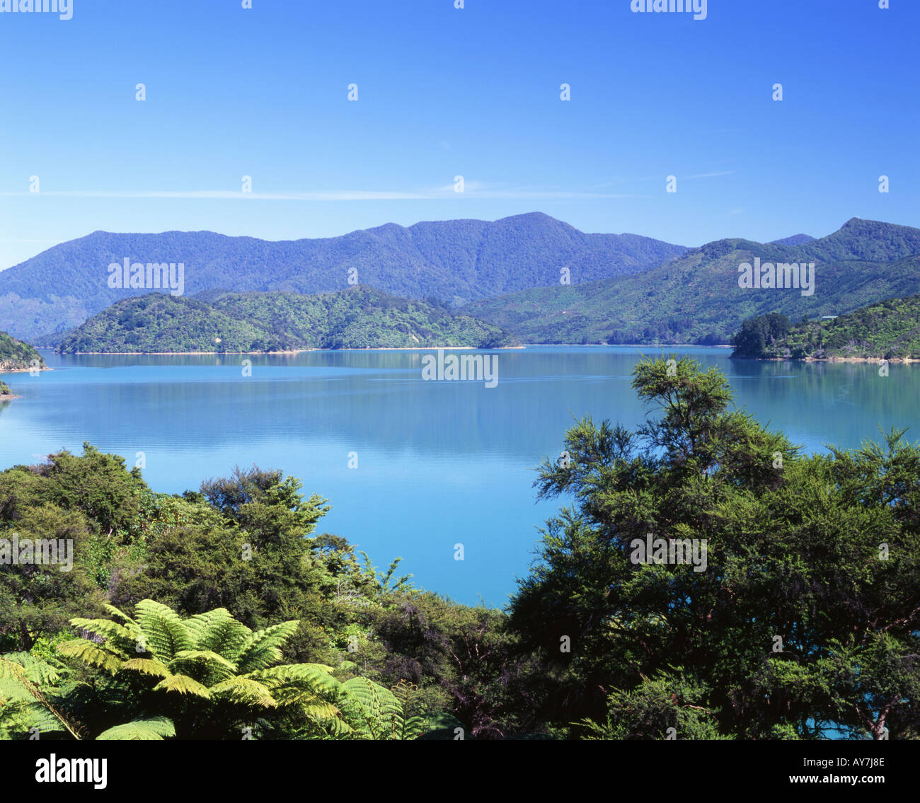 Portage Bay Kenepuru Sound South Island New Zealand Stock Photo - Alamy