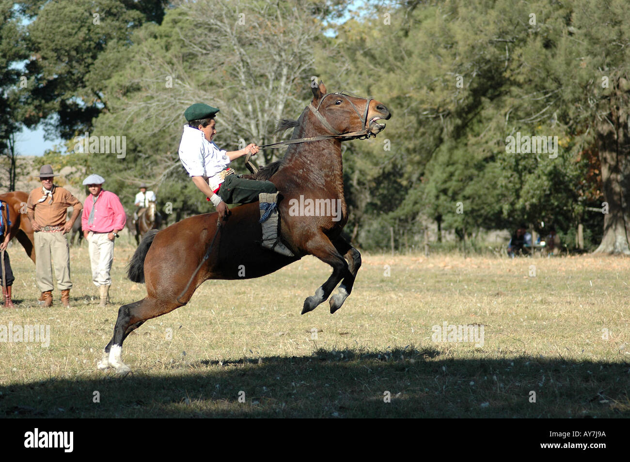 gaucho riding an horse Stock Photo - Alamy
