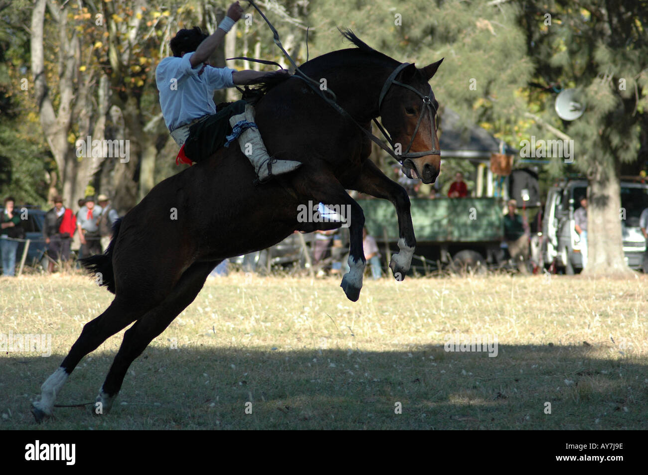 Argentine gaucho saddle hi-res stock photography and images - Alamy