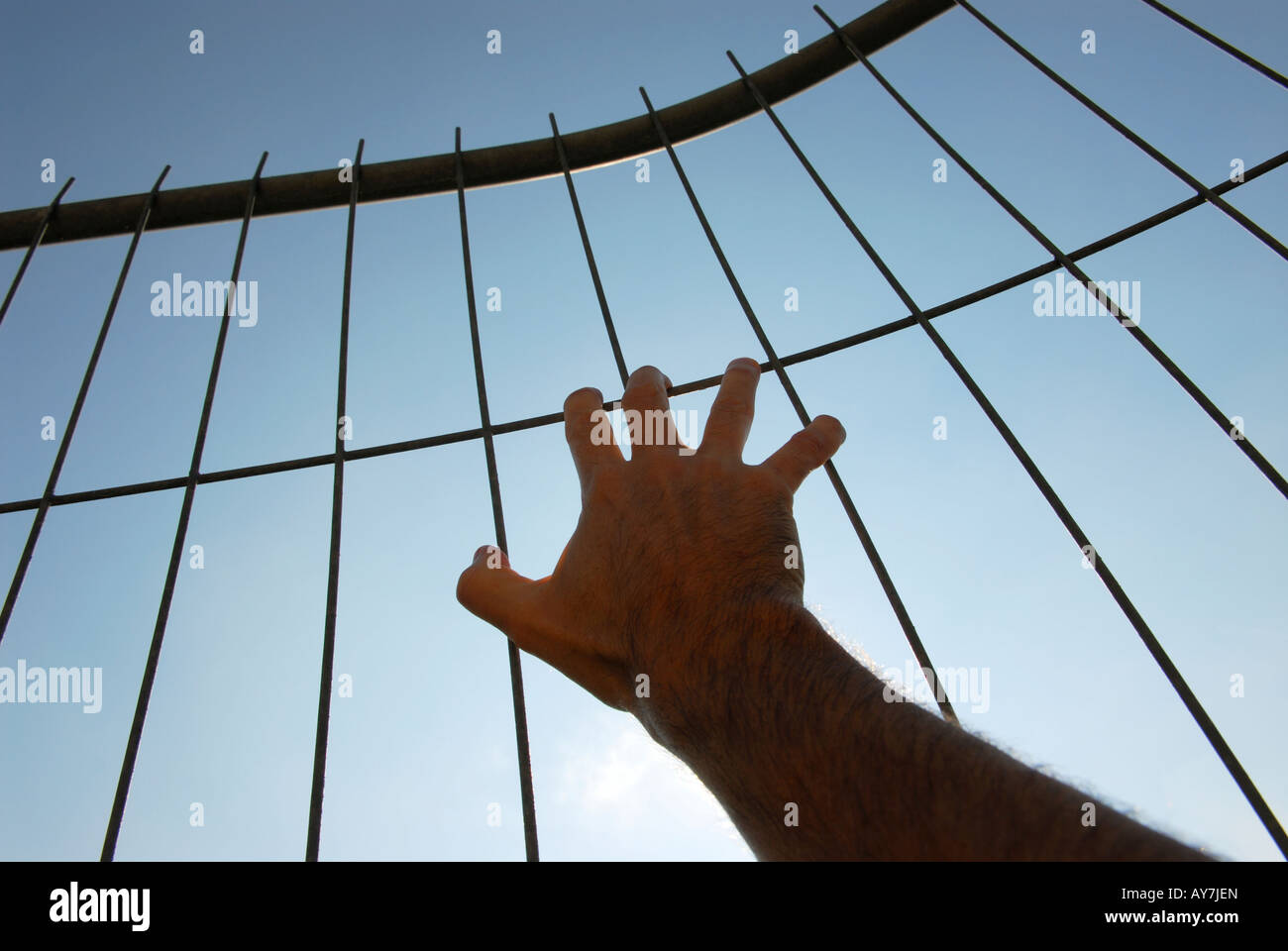 HAND ON METAL FENCE Stock Photo - Alamy