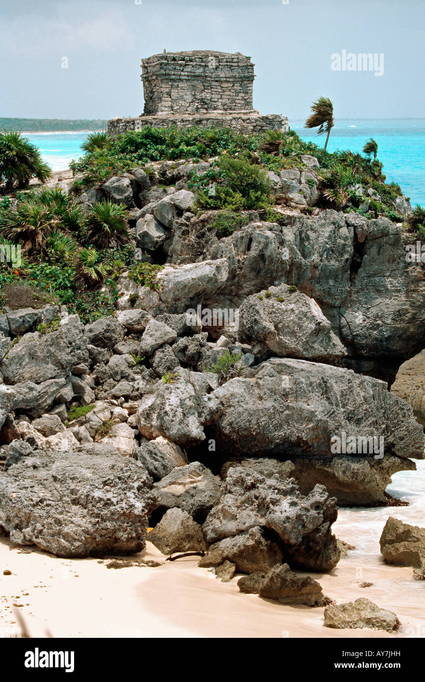 Quinatan roo hi-res stock photography and images - Alamy