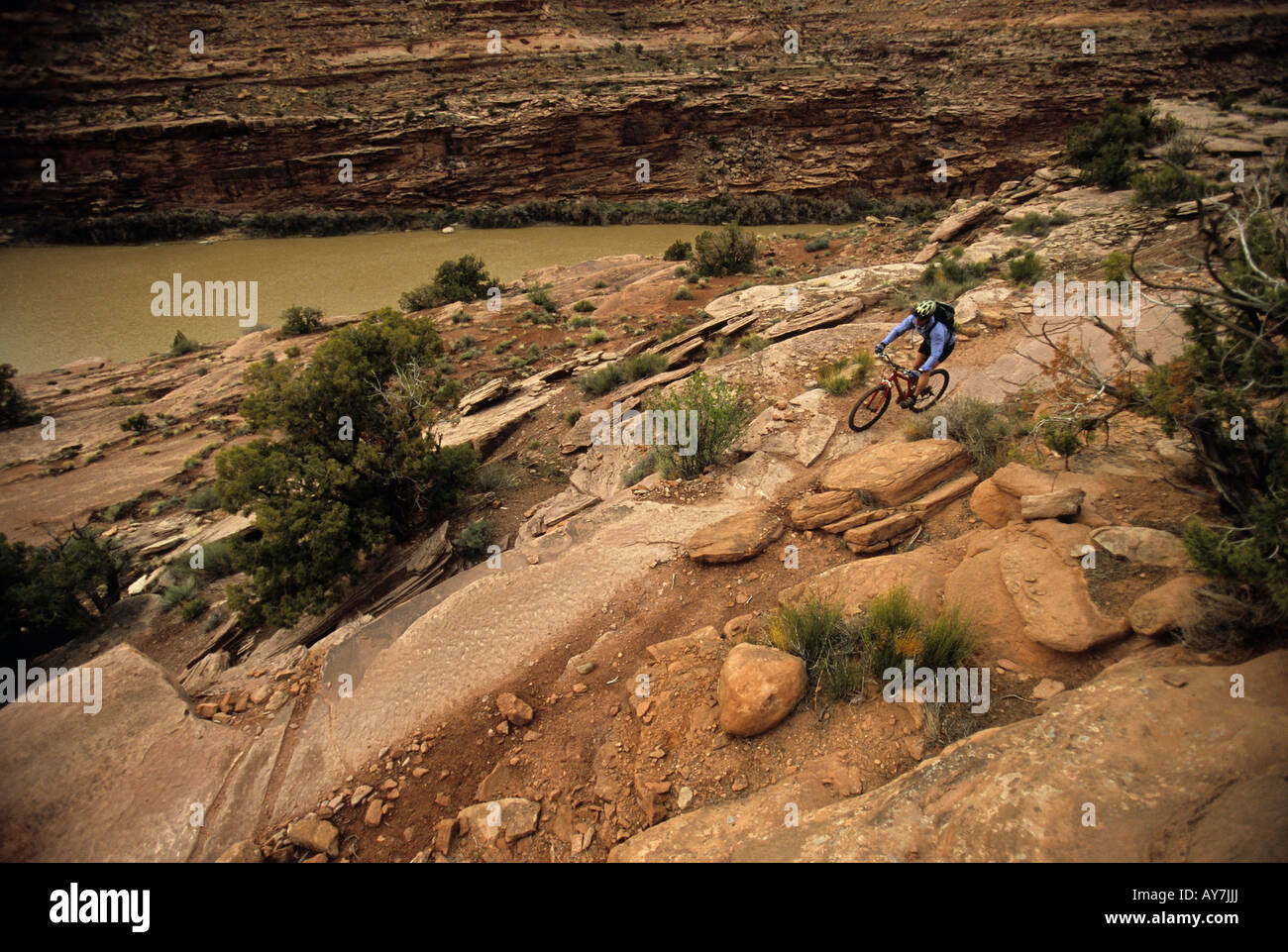 Nathalie St Pierre mountain biking on the Porcupine Rim trail Moab Utah ...