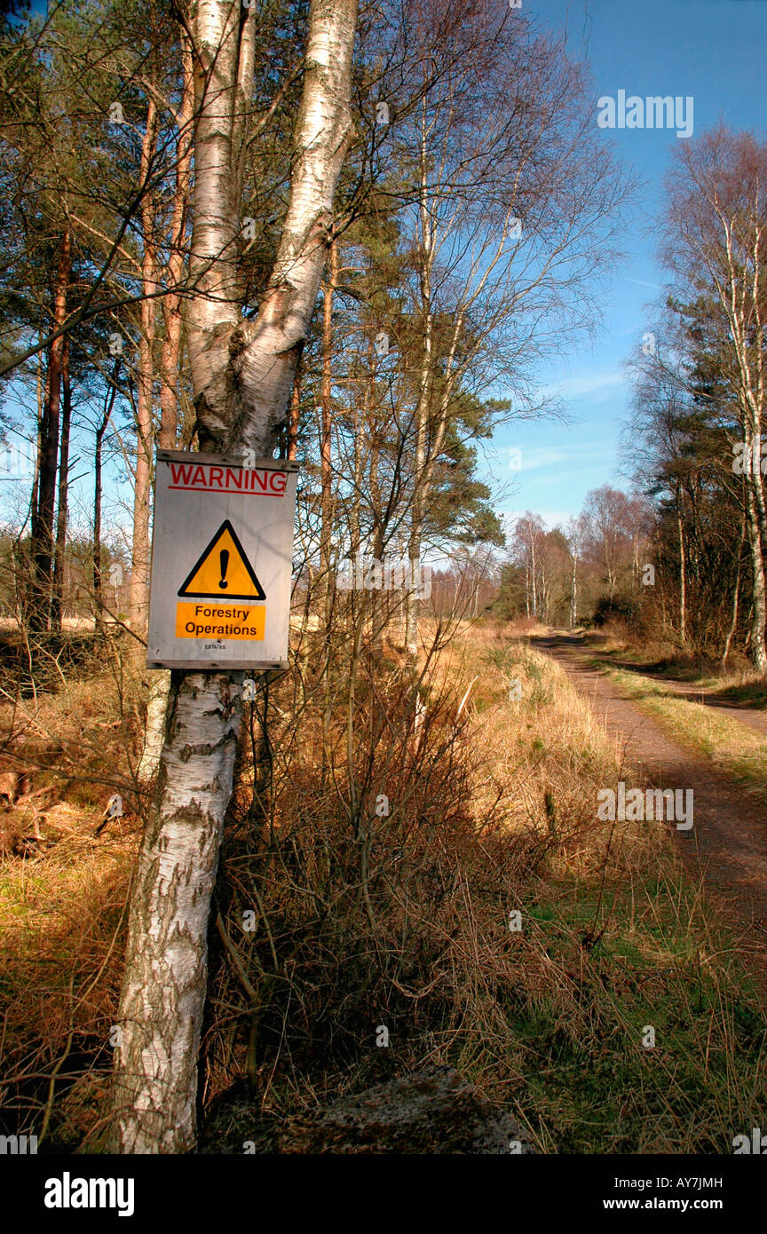 A sign warning of forestry operation Stock Photo - Alamy
