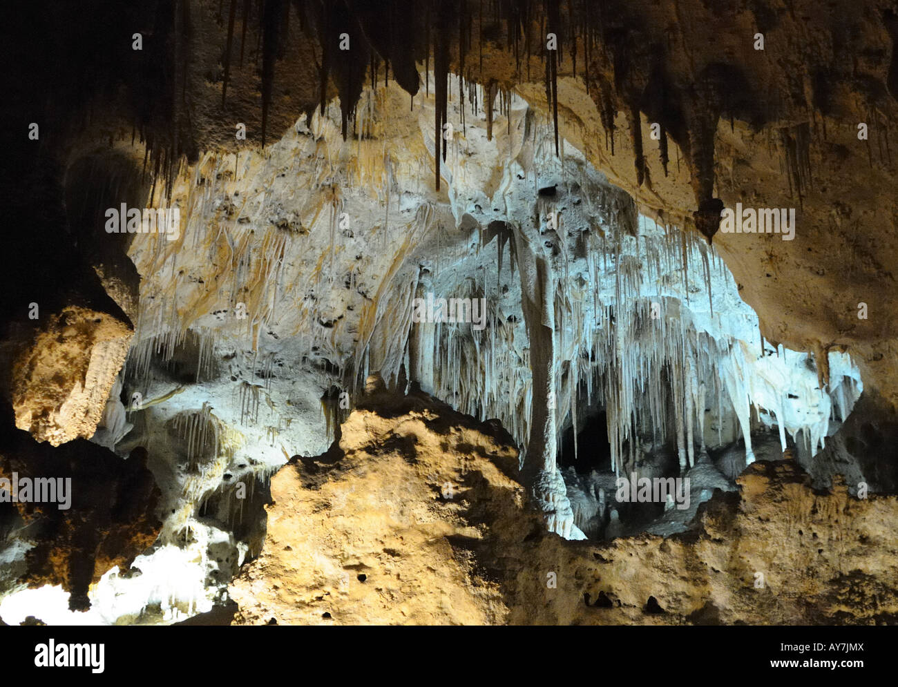 Stalagmites and stalactites in the Big Room of the Carlsbad Caverns ...