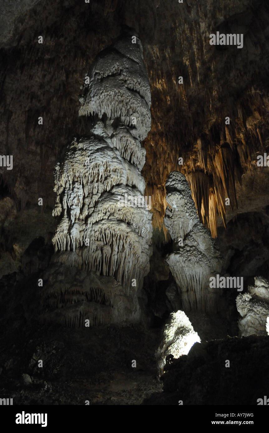 Stalagmite columns in the Big Room of the Carlsbad Caverns National ...