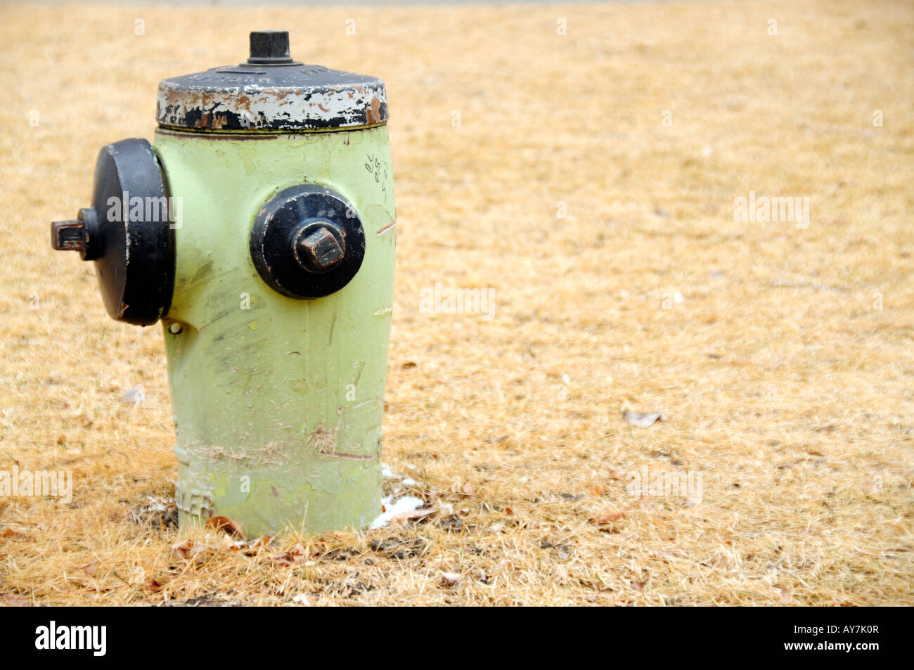 Fire Hydrant, Water, Hazard, Different, Fireman, Hose, Grass, Odd ...