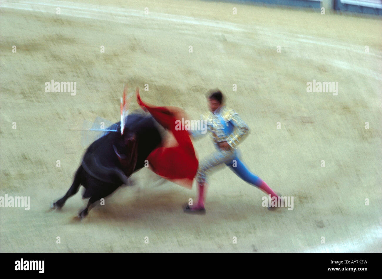 Bull Fighter in action Stock Photo - Alamy