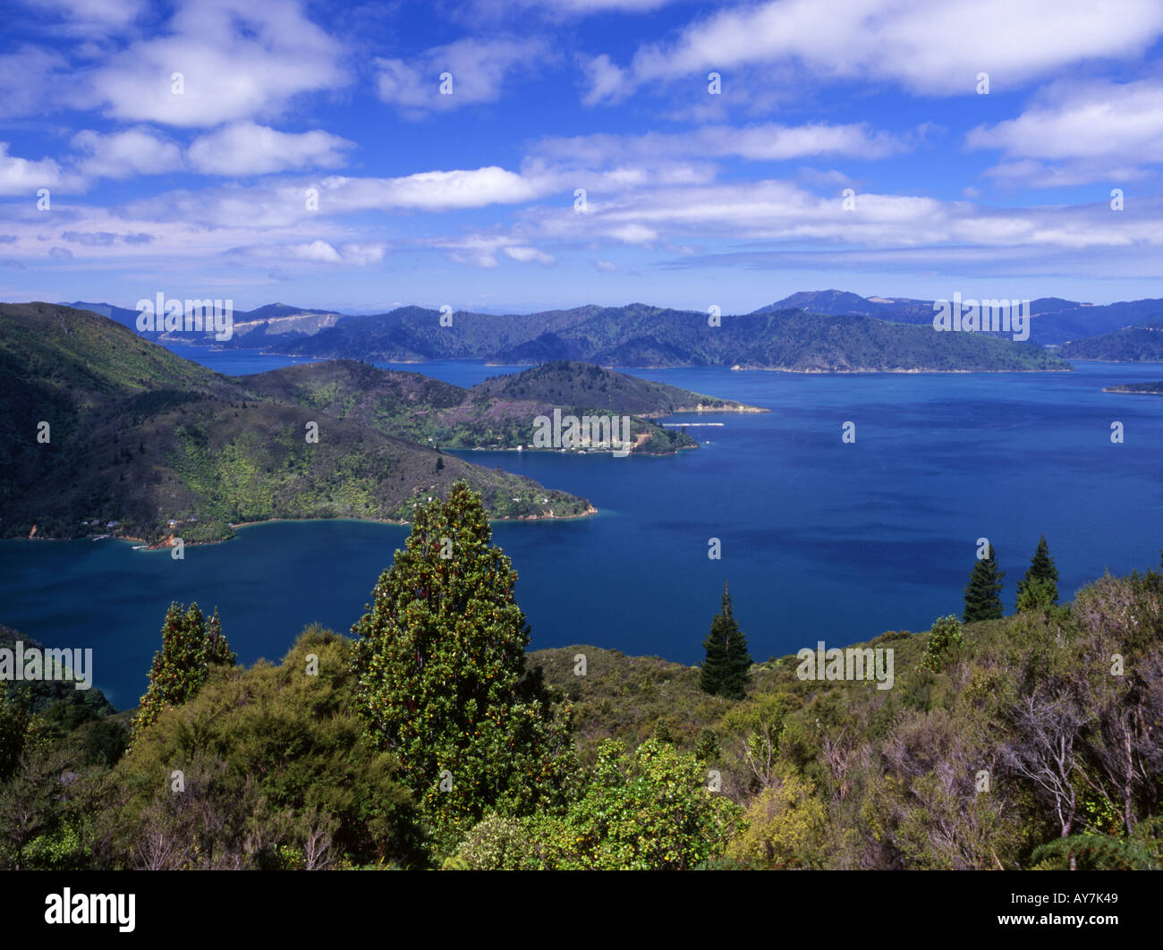 Ruakaka Bay South Island New Zealand Stock Photo - Alamy
