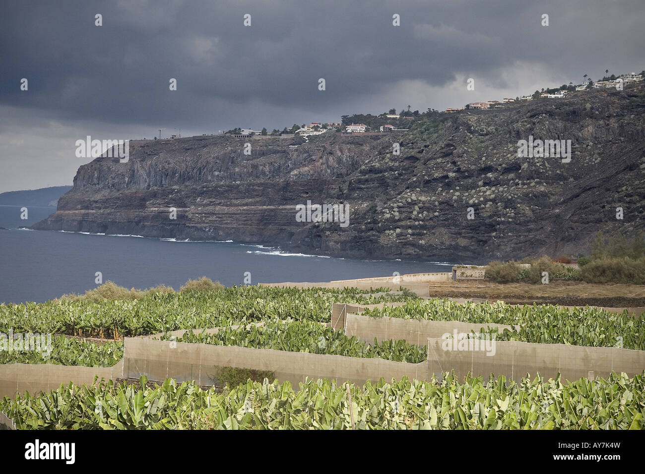 Rincon village Tenerife Canary islands Spain Stock Photo - Alamy