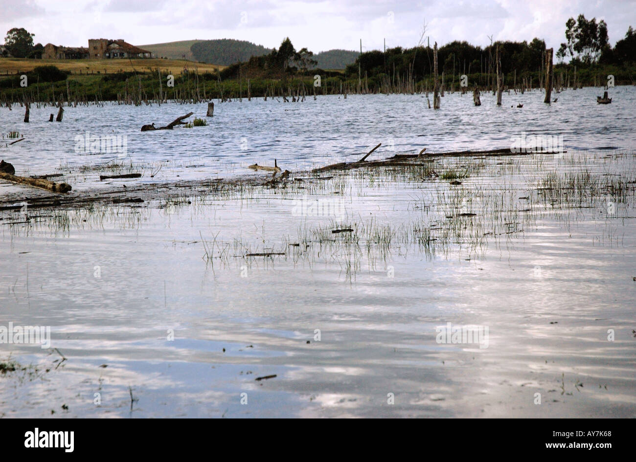 Panoramic View of Pond Pais Vasco Iberian Peninsula Basque Country ...